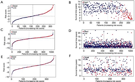 Risk Plot Of The Discovery And Validation Cohorts A Risk Score
