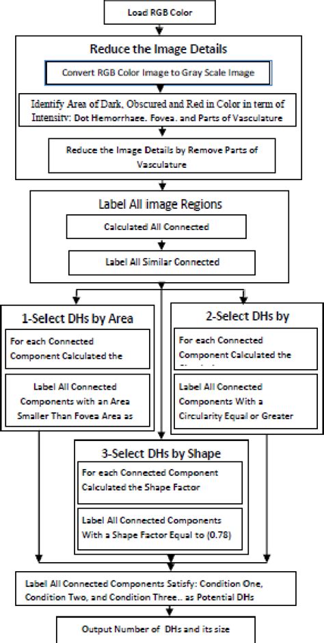 Improvement Of Automatic Hemorrhages Detection Methods Using Shapes Recognition