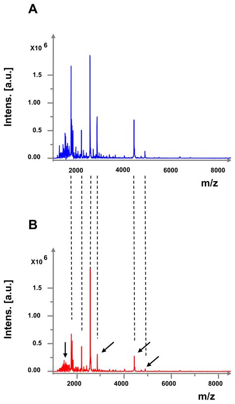 Ijms Special Issue Quorum Sensing Research In Microbial Systems