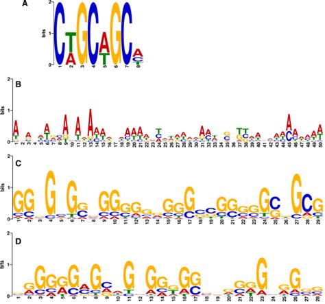 Novel Motifs Predicted Using Meme Software Motif A Was Predicted Using