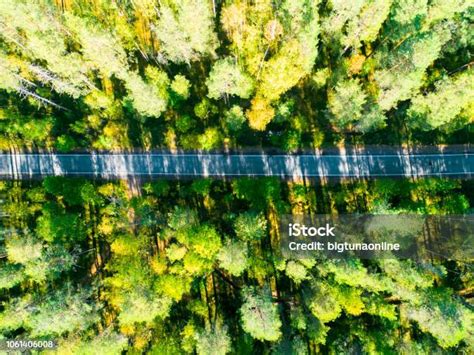 국가로 이동 하는 차량으로 숲에서의 공중 전망 아름 다운 풍경입니다 위에서 무인 항공기와 함께 캡처됩니다 자동차와 공중의 새의 눈도 로입니다 공중 평면도 숲입니다 위에서 숲