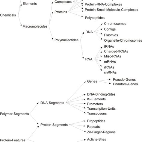 PDF The Pathway Tools Sofware