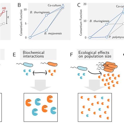Species Interactions Create Non Additive Effects On Community Function