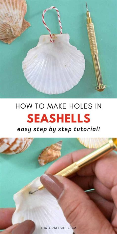 How To Make A Hole In A Seashell Without Breaking It