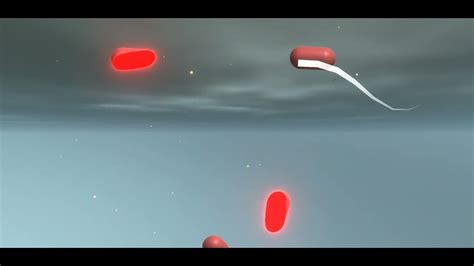 artstation fruit ninja inspired game in unity 3d using ezyslice