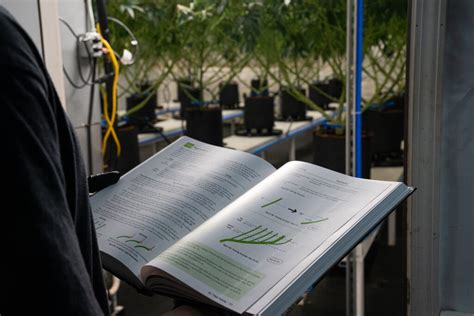 Yield Science Book Master Cannabis Cultivation