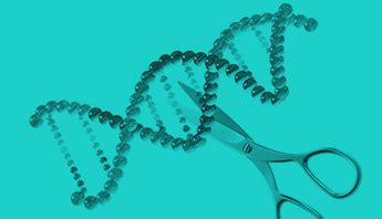 A Visual History Of The Game Changing CRISPR Gene Editing Technology Bazis Americas