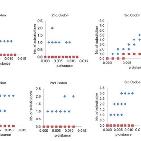 The Transition Rate Is Higher Than Transversion Substitution Corrected Download High