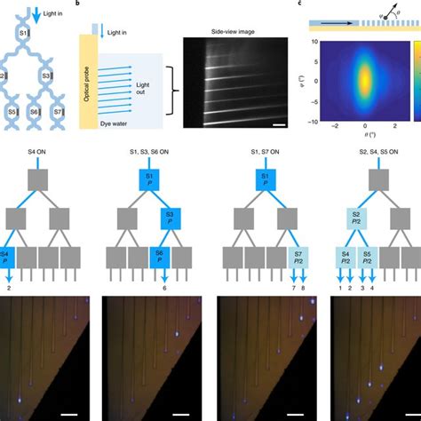 Spatial Optical Patterns Generated By The Probe To Demonstrate Dynamic