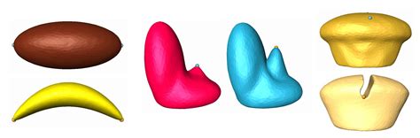 Capturing Anatomical Shape Variability Using B Spline Registration Hans Lamecker