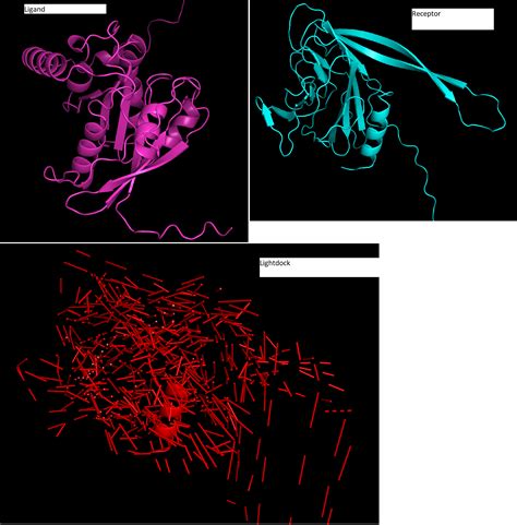 Lightdock Pdb File Visualises Incorrectly In Pymol · Issue 46 · Lightdocklightdock · Github