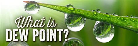 Dew Point Definition