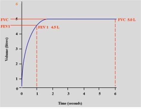 Pulmonary Function Tests Flashcards Quizlet