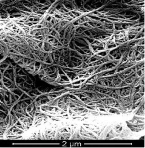 Highly Purified Single Walled Carbon Nanotubes Length5 30μm Od