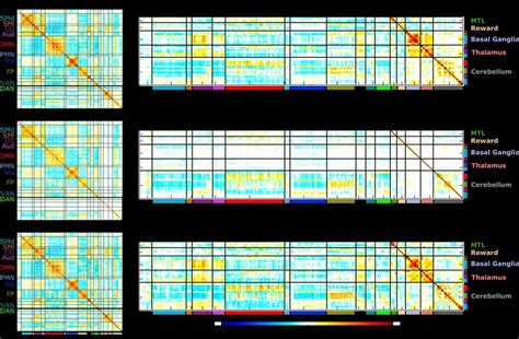 Correlation Matrices Are Similar Across Datasets The Full 300 X 300 Download Scientific