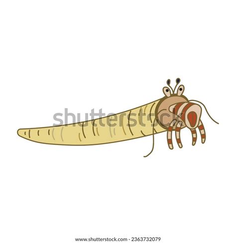 Cartoon Vector Illustration Tusk Shell Icon Stock Vector Royalty Free