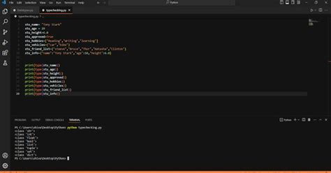 practice code online on linkedin python type checking