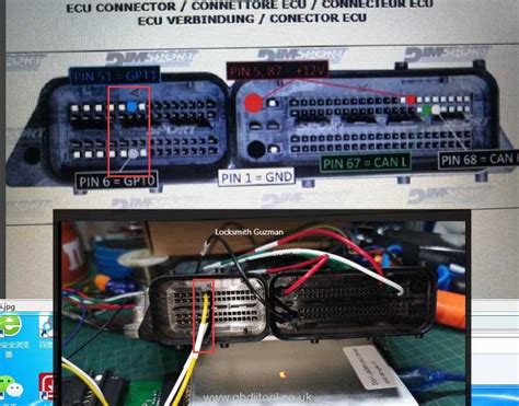 Dimsport Ecu Pinout Unlocking Performance Secrets