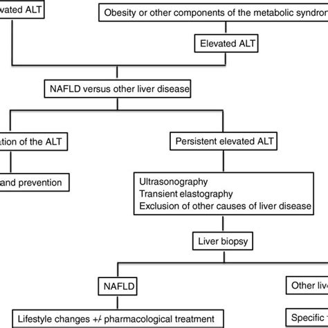 Clinical Algorithm For The Management Of Pediatric NAFLD In Case Of Download Scientific