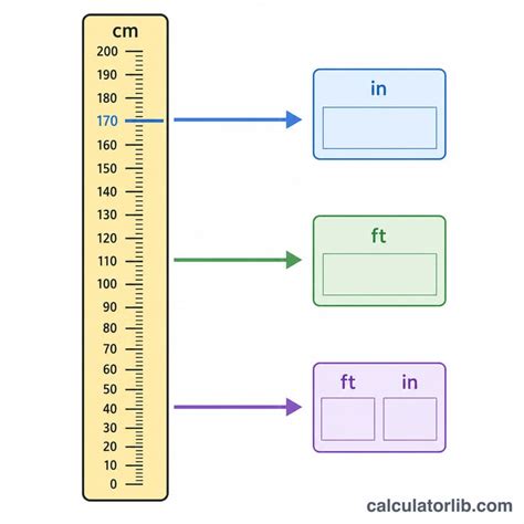身高换算器：厘米转英寸和英尺（cm 转 Inch Feet） Calculatorlib