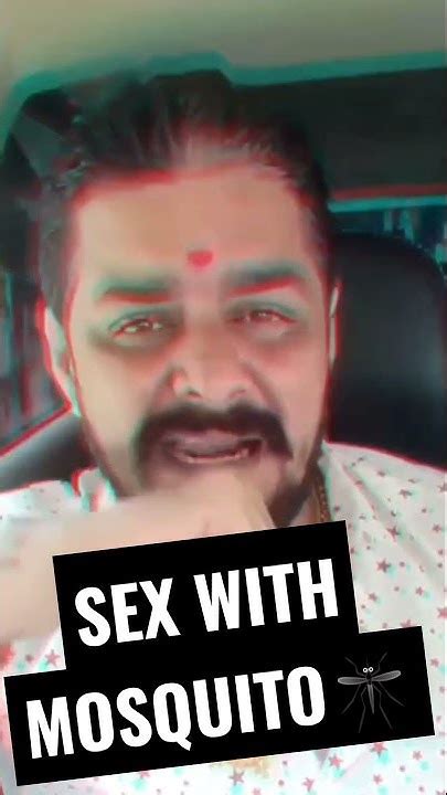 Sex With Mosquito🦟🦟 Shorts Youtube