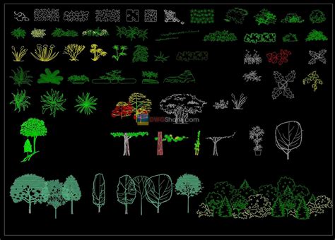 Trees In Elevation AutoCAD Blocks Free Download