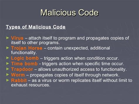 Virus And Malicious Code Chapter 5