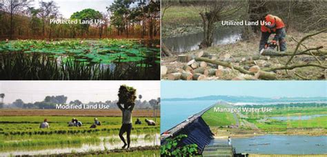 2 Representation Of 4 Major Lulc Classes In Walu Download Scientific