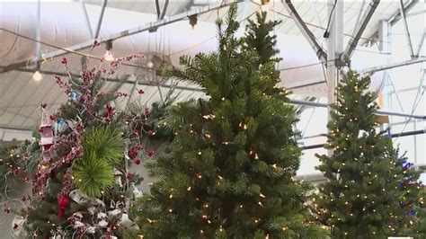 Yes Artificial Christmas Trees Can Trigger Allergies