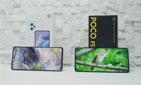Сравнение POCO и Redmi: какие смартфоны лучше и почему - AndroidInsider.ru