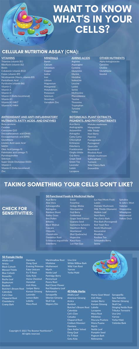 Cellular Testing — The Boomer Nutritionist
