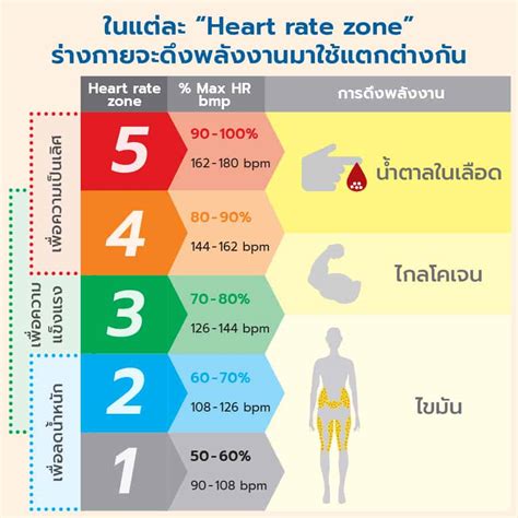 ออกกำลังกาย ร่างกายใช้พลังงานอย่างไร
