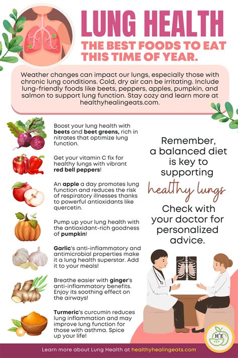 Lung Health The Best Foods To Eat This Time Of Year Artofit