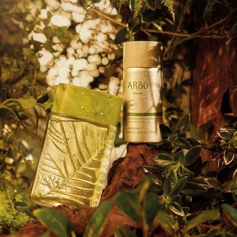 Repacking Embalagem E Implementação De Refilagem Para Perfumaria De O