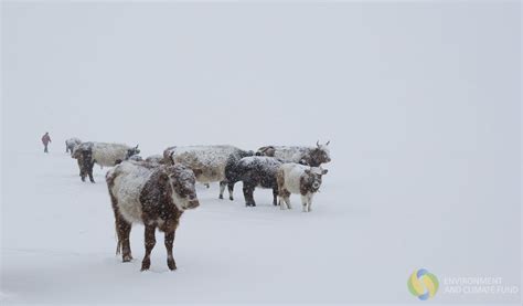БАЙГАЛЬ ОРЧИН УУР АМЬСГАЛЫН САН