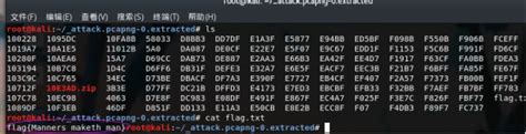 Wirehark数据分析与取证attackpcapflag Flag Manners Maketh Man Csdn博客