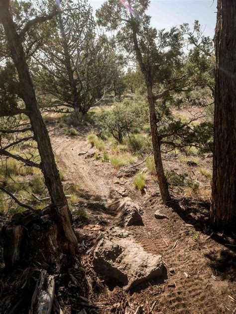 91 Oregon Gps Trail Map Conditions And Difficulty Onx Offroad