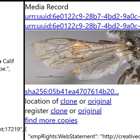 A Screenshot Of A Machine Generated Interactive Web Page Visualizing Download Scientific