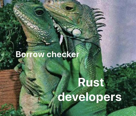 You Horny Rust Developers R Programmerhumor