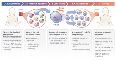 Ncounter Car T Characterization Panel