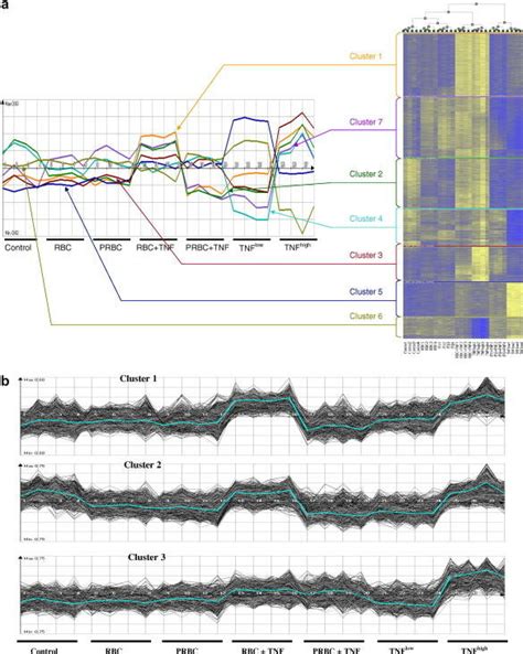 analysis of microarray chips showing heatmap of gene expression and