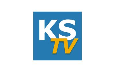 Bug Dark Mode Kent State Babe Media