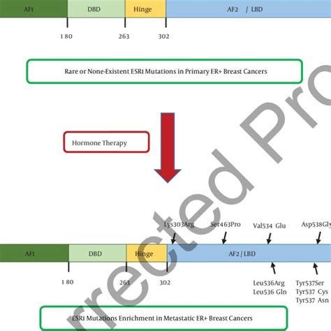 Evolution Of Esr1 Mutations In Er Breast Cancer With Hormone Therapy