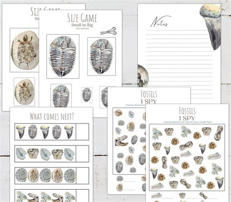 Fossils Unit Study Anatomy Nature Study Science Handwriting
