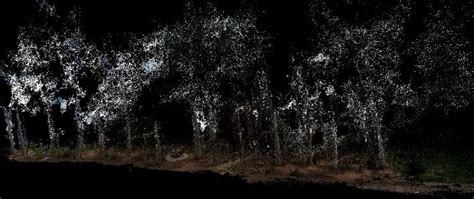 experiment ii 3d point cloud obtained with pmts data processing in