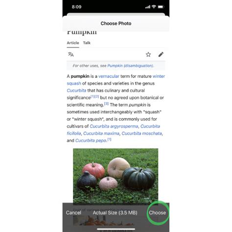 How To Do A Reverse Image Search On Your IPhone Parade