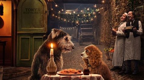 Lady And The Tramp 2019 Everything You Need To Know About The