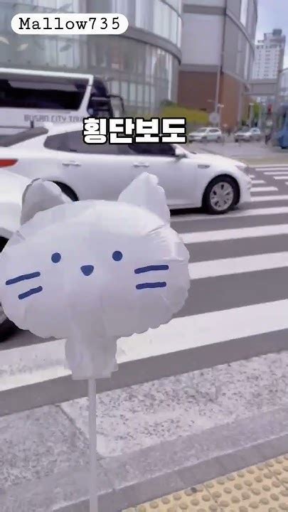 고양이의 부산여행마지막에 반전바람을 이기지 못하고 부러져버렸다ㅠㅠ Youtube