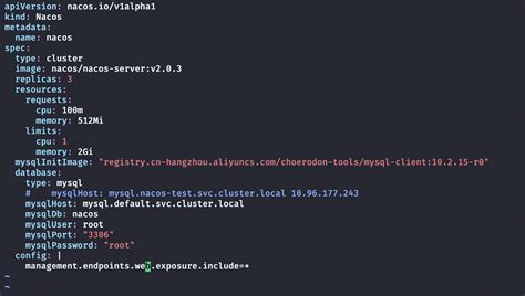 mysql初始化容器错误 Issue nacos group nacos k s GitHub