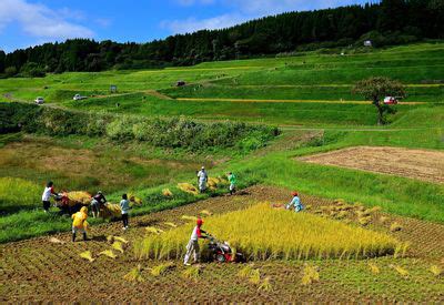 とやま棚田ネットワーク イベント開催報告 「とやまの農山村写真展」受賞作品